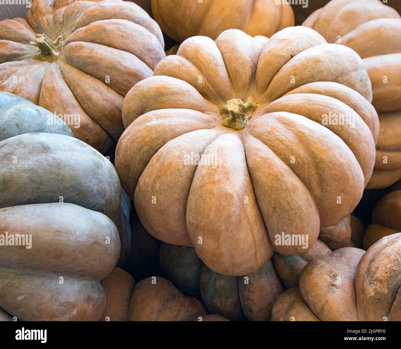 Iconic halloween decoration hi-res stock photography and images - Alamy