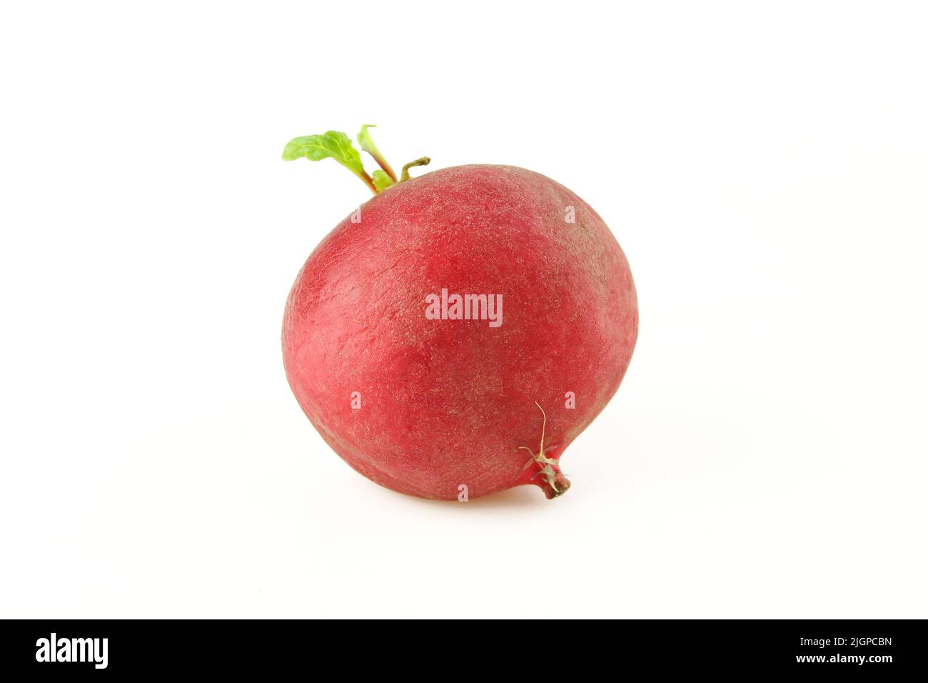 One whole red radish isolated on white background Stock Photo - Alamy