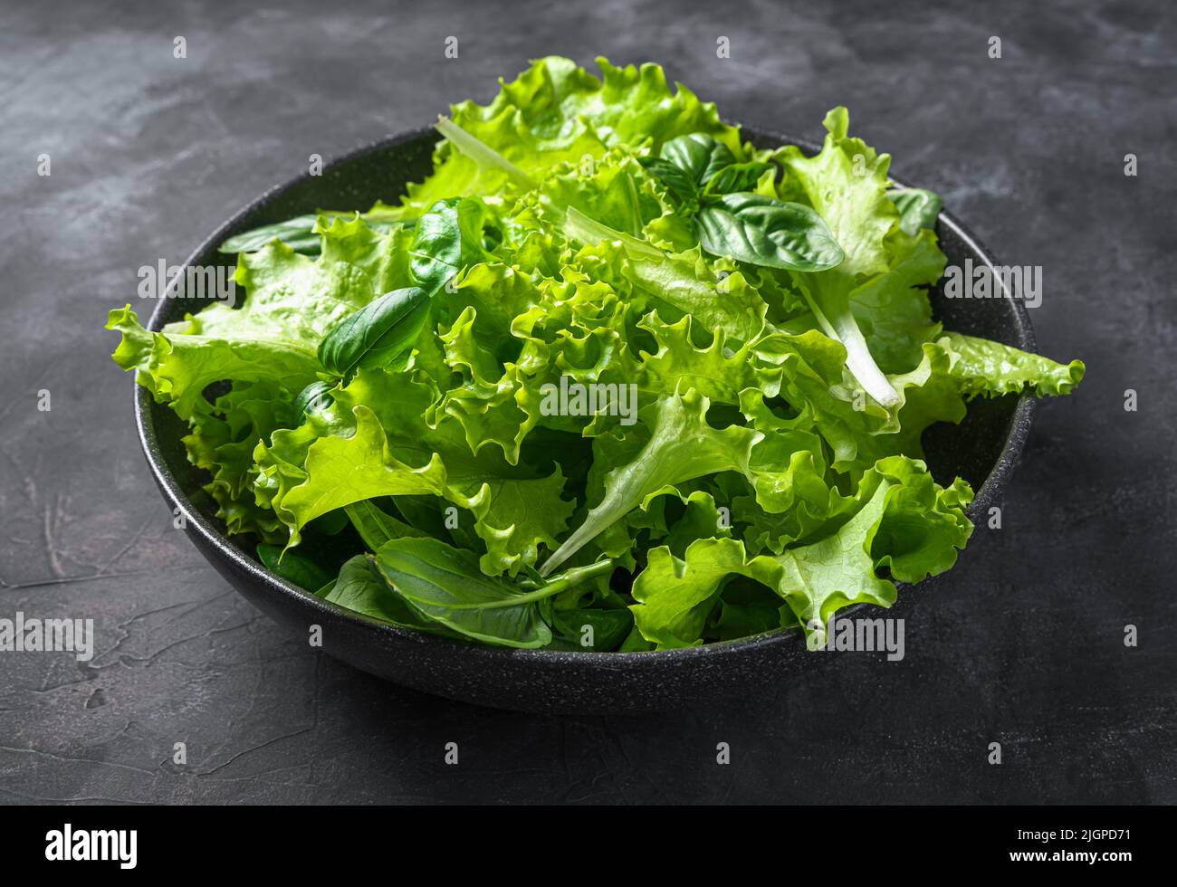 Fresh lettuce and basil leaves on a dark background. A mixture of ...