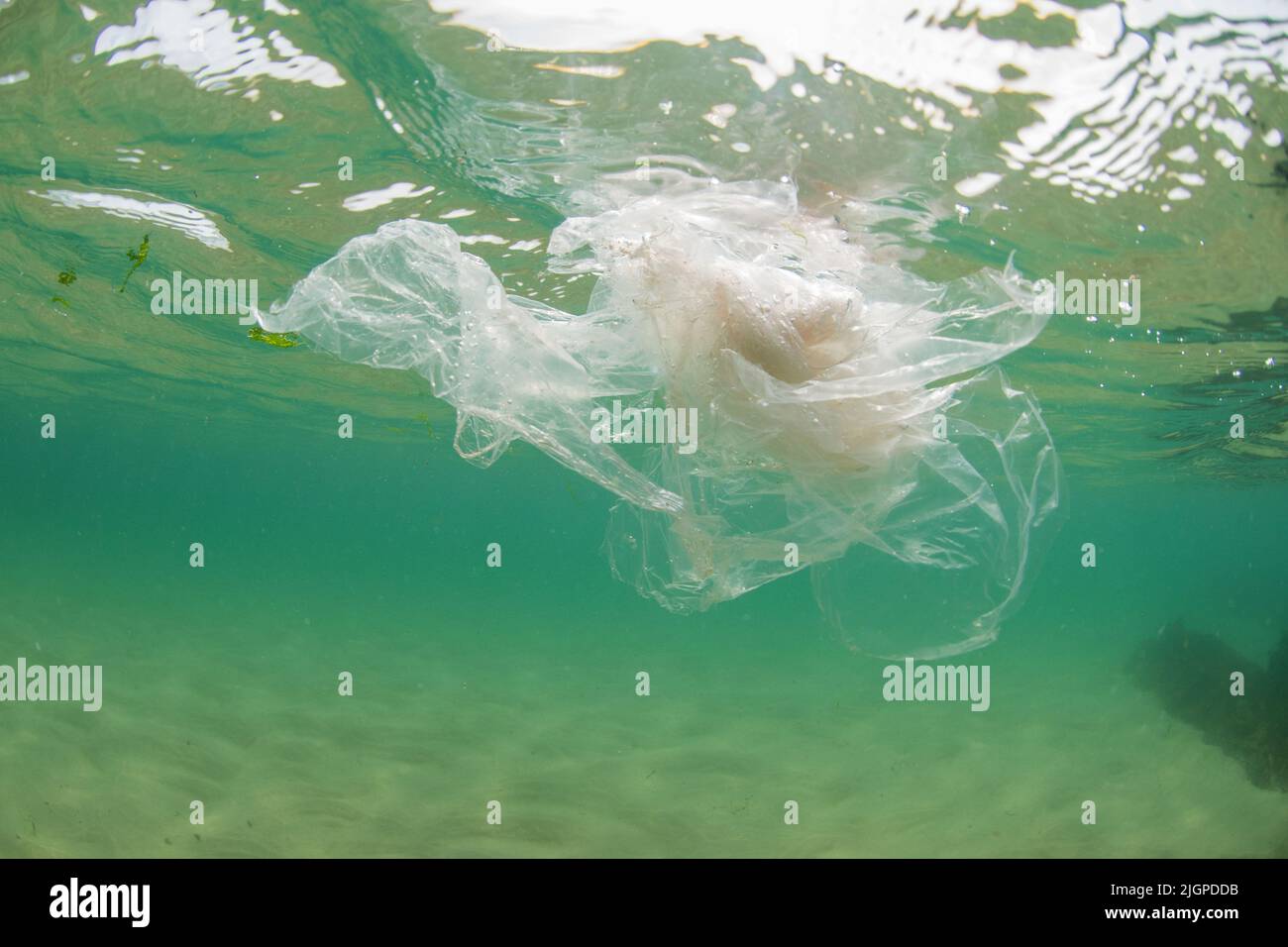 Plastic floating in ocean Stock Photo - Alamy