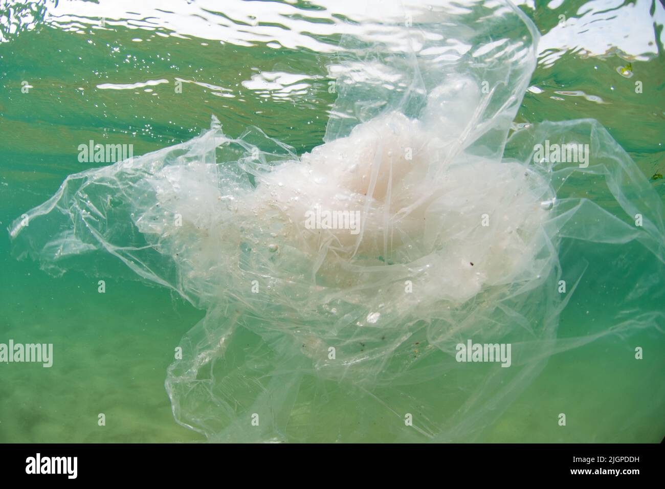 Plastic floating in ocean Stock Photo - Alamy