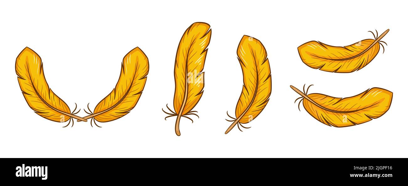 Feathering chicken Stock Vector Images - Alamy