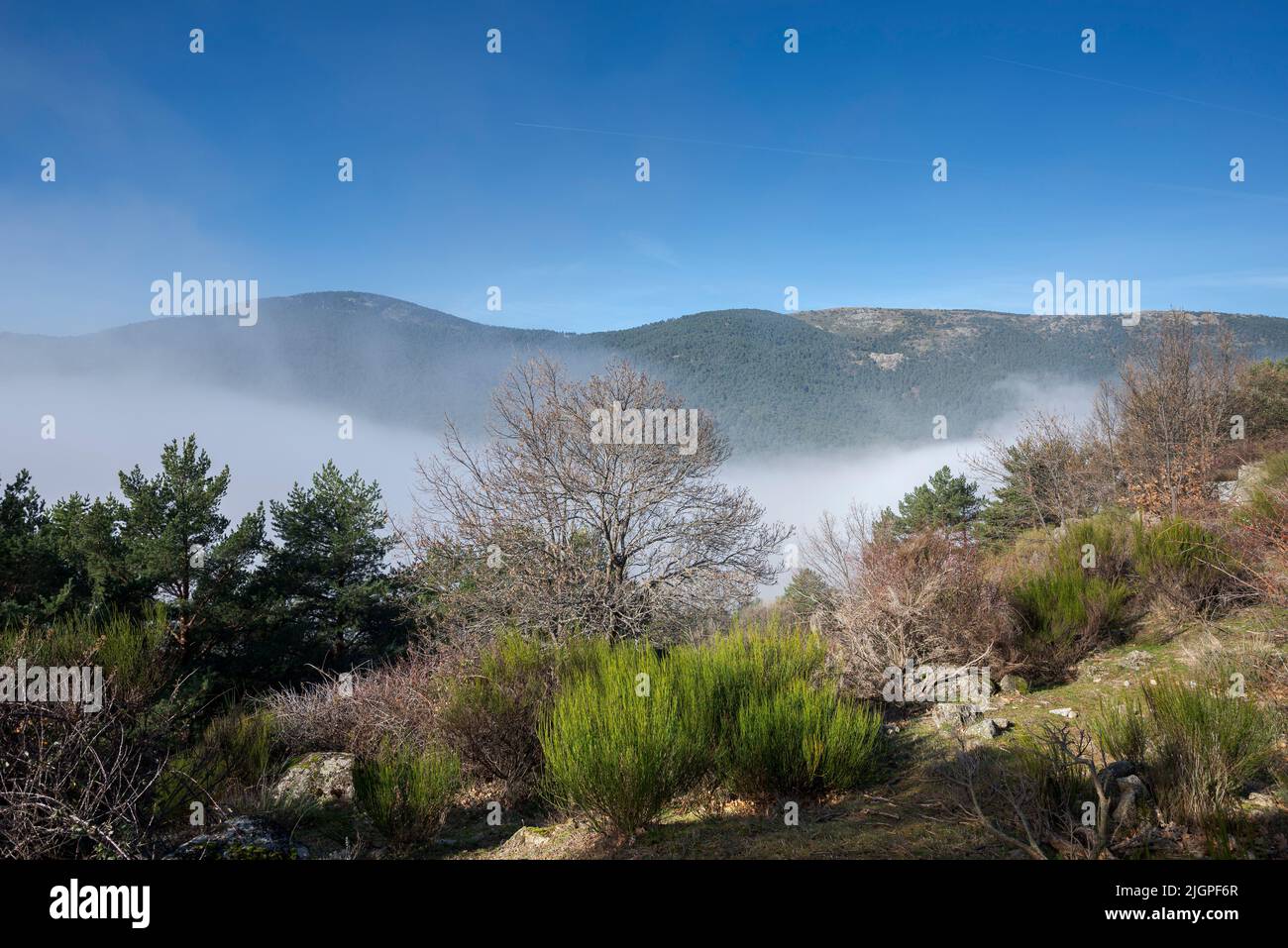 Sea of clouds in Fuenfria Valley, municipality of Cercedilla, province ...