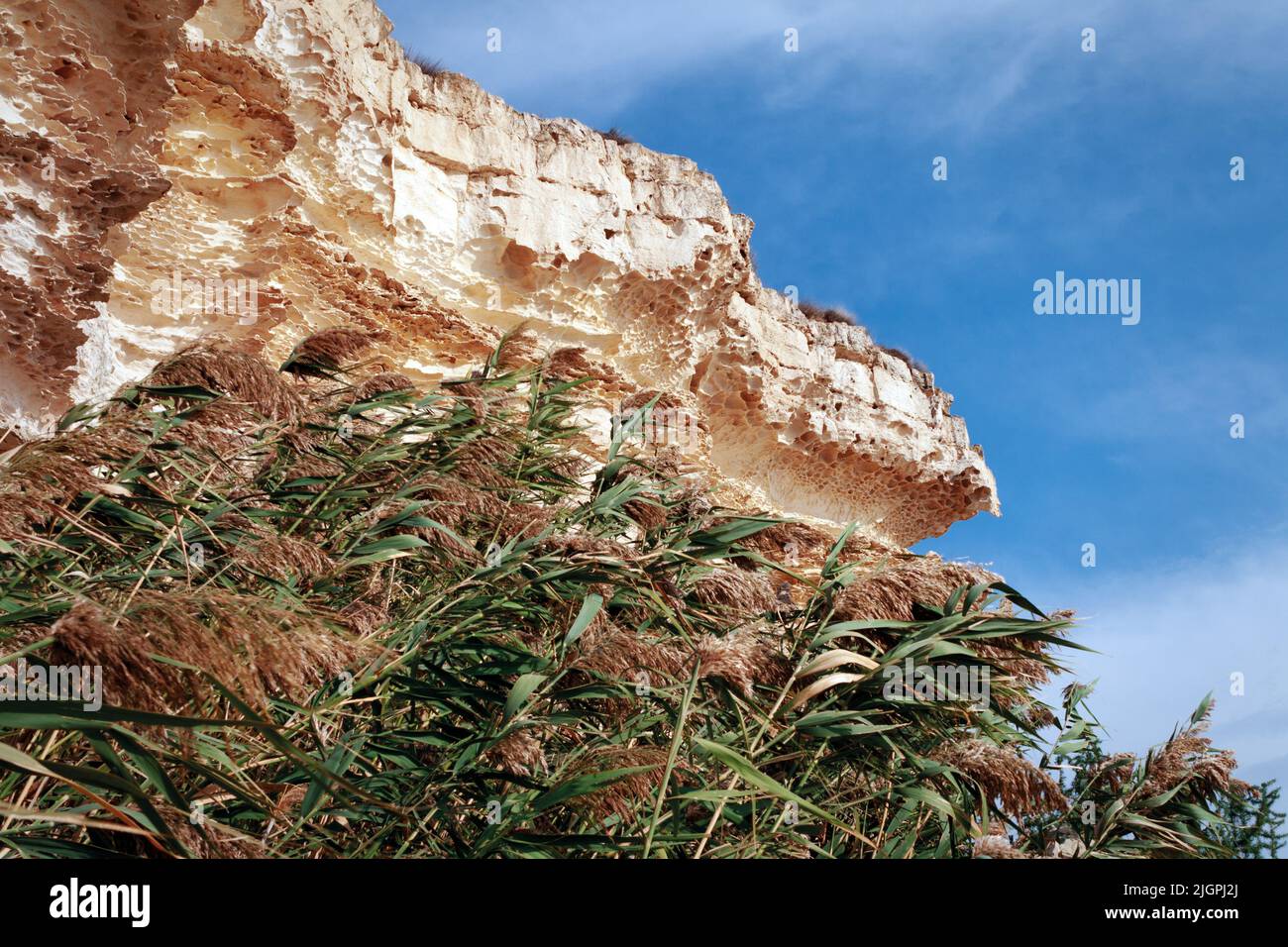 Reeds rocks on coast hi-res stock photography and images - Alamy