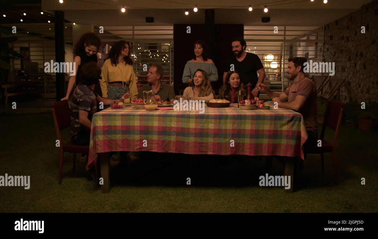 Group of happy people together at night in home backyard laughing and ...