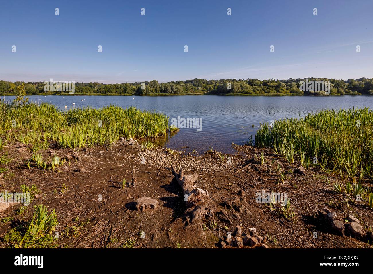 Whitlingham country park norwich hi-res stock photography and images ...
