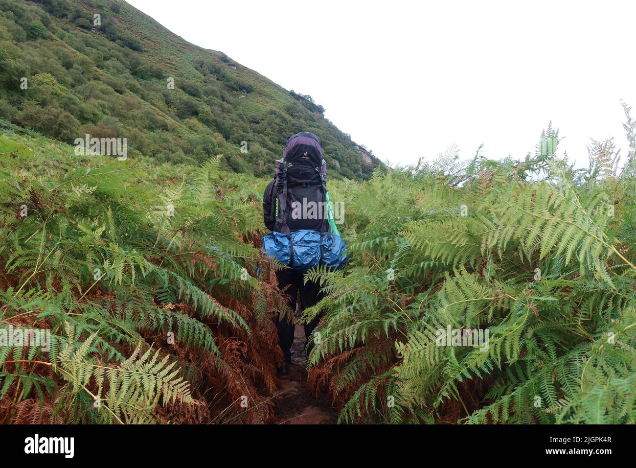 Solo Backpacker hiking with a big backpack. Arran Coastal Way. Isle of ...