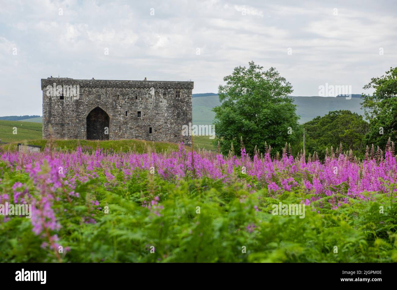 Newcastleton hi-res stock photography and images - Alamy