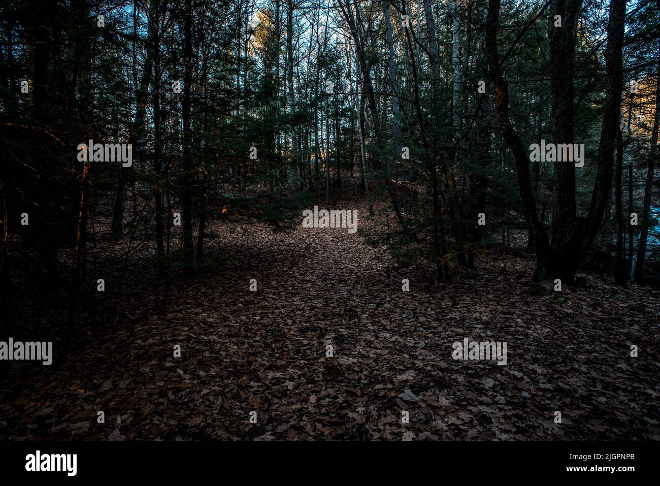 Doane falls hi-res stock photography and images - Alamy