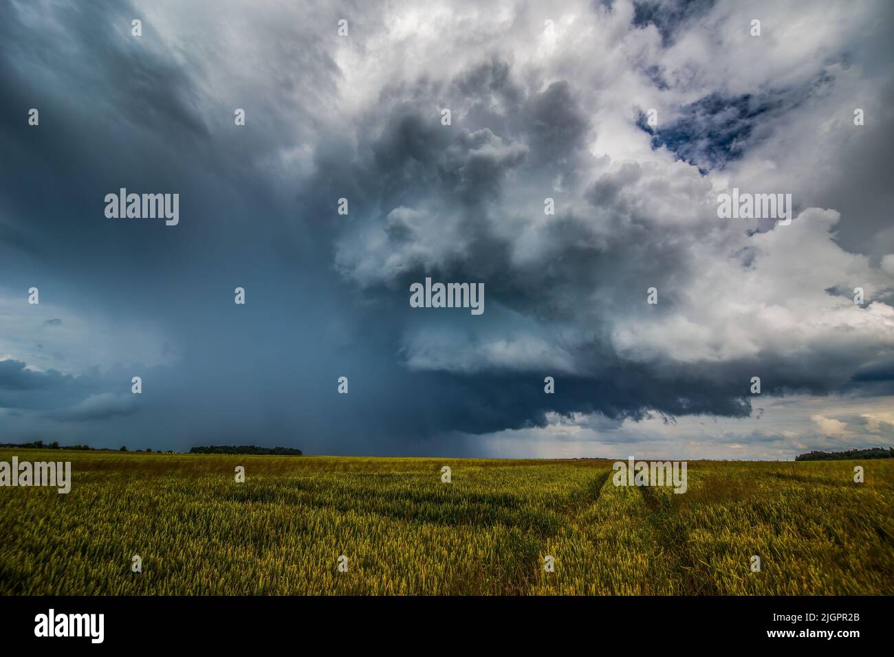 Storm clouds over field, tornadic supercell, extreme weather, dangerous ...
