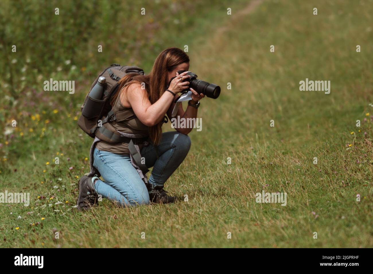 BUCKINGHAMSHIRE, UK. THESE THREE owl babies could grace the cover of ...