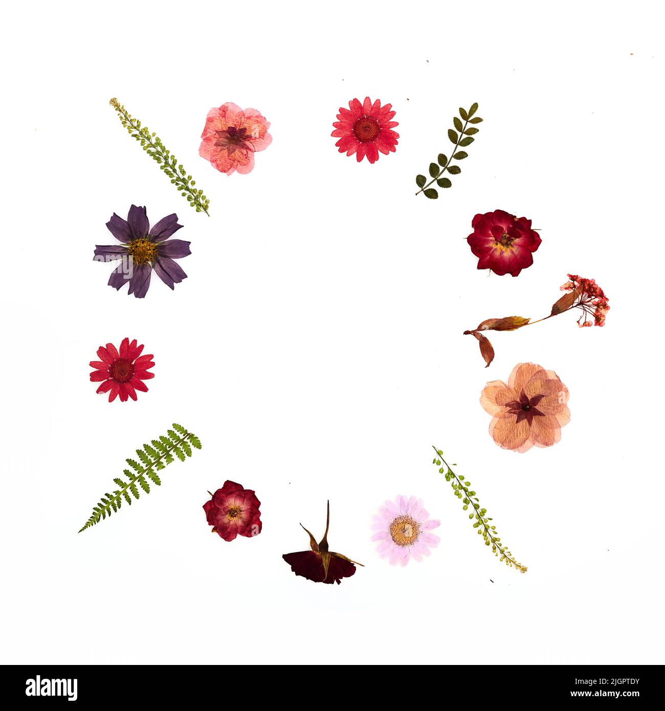 Round frame from spring Cut Out Stock Images & Pictures - Alamy