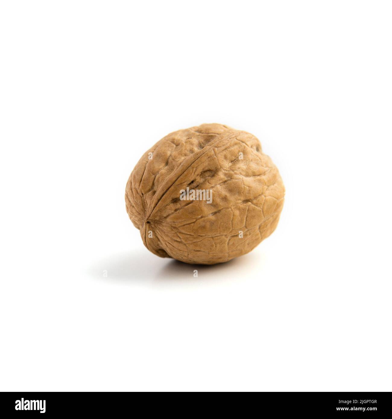 Walnut whole hi-res stock photography and images - Alamy