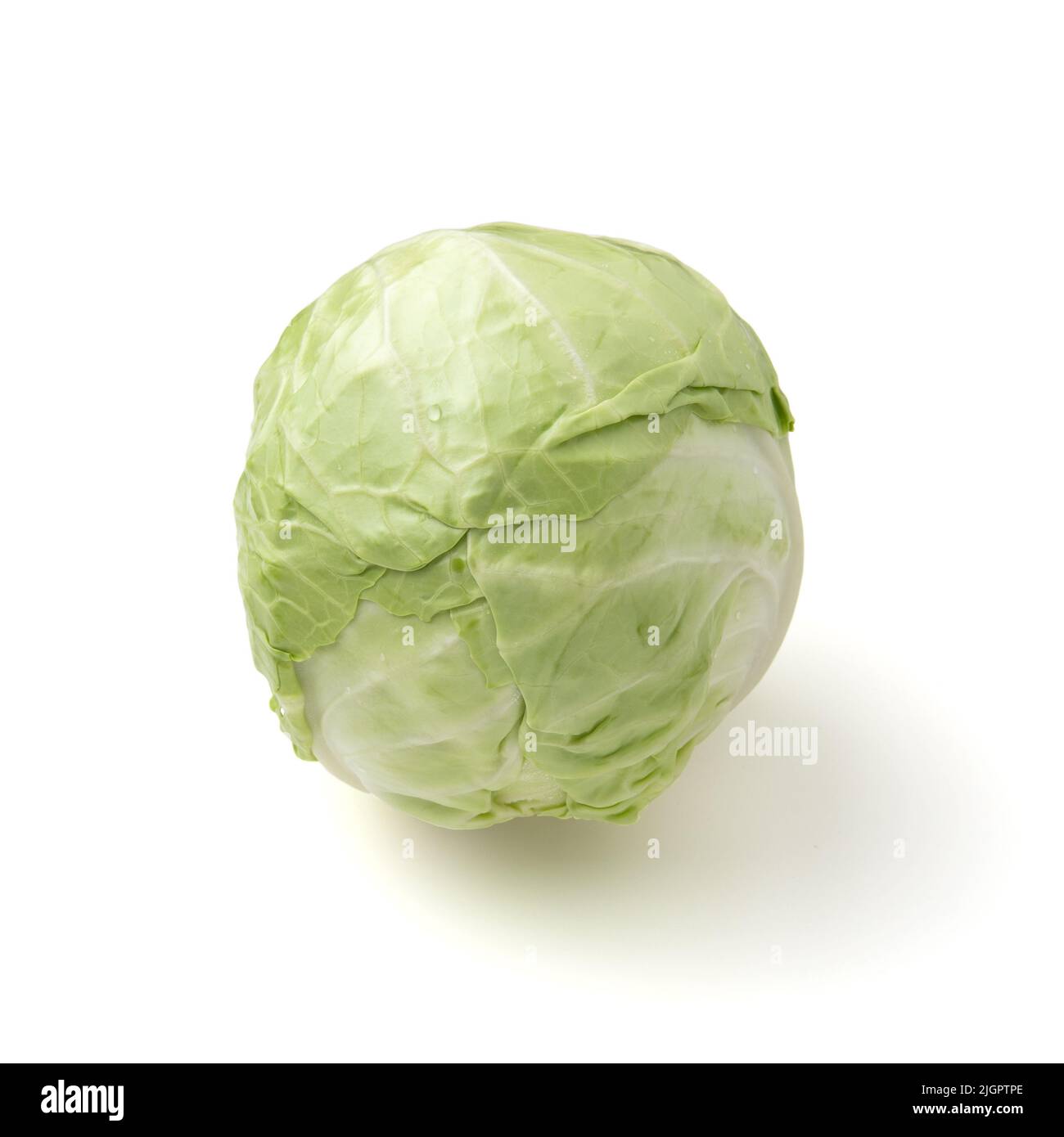 Green cabbage isolated on white background. Square photo. Healthy food ...