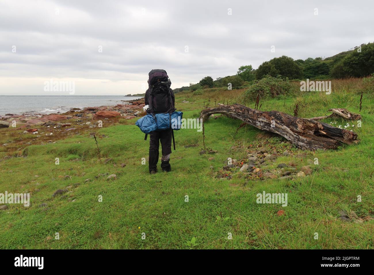 Solo Backpacker hiking with a big backpack. Arran Coastal Way. Isle of ...