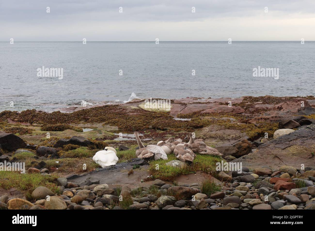 Arran Coastal Way. Isle of Arran. North Ayrshire. Scotland. UK Stock ...