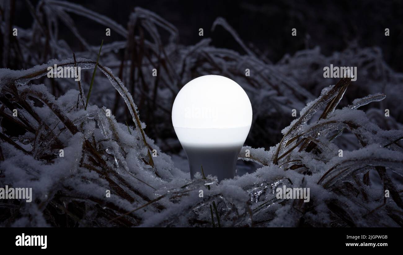 White LED light bulb on soil against natural background in the night ...