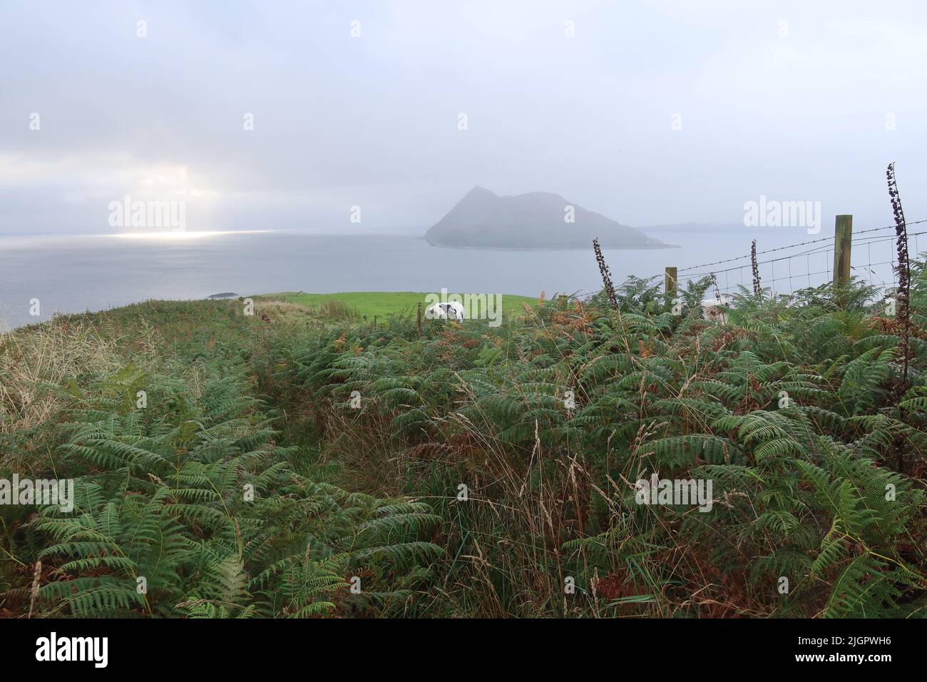 View of Holy Isle from The Arran Coastal Way. Isle of Arran. North ...