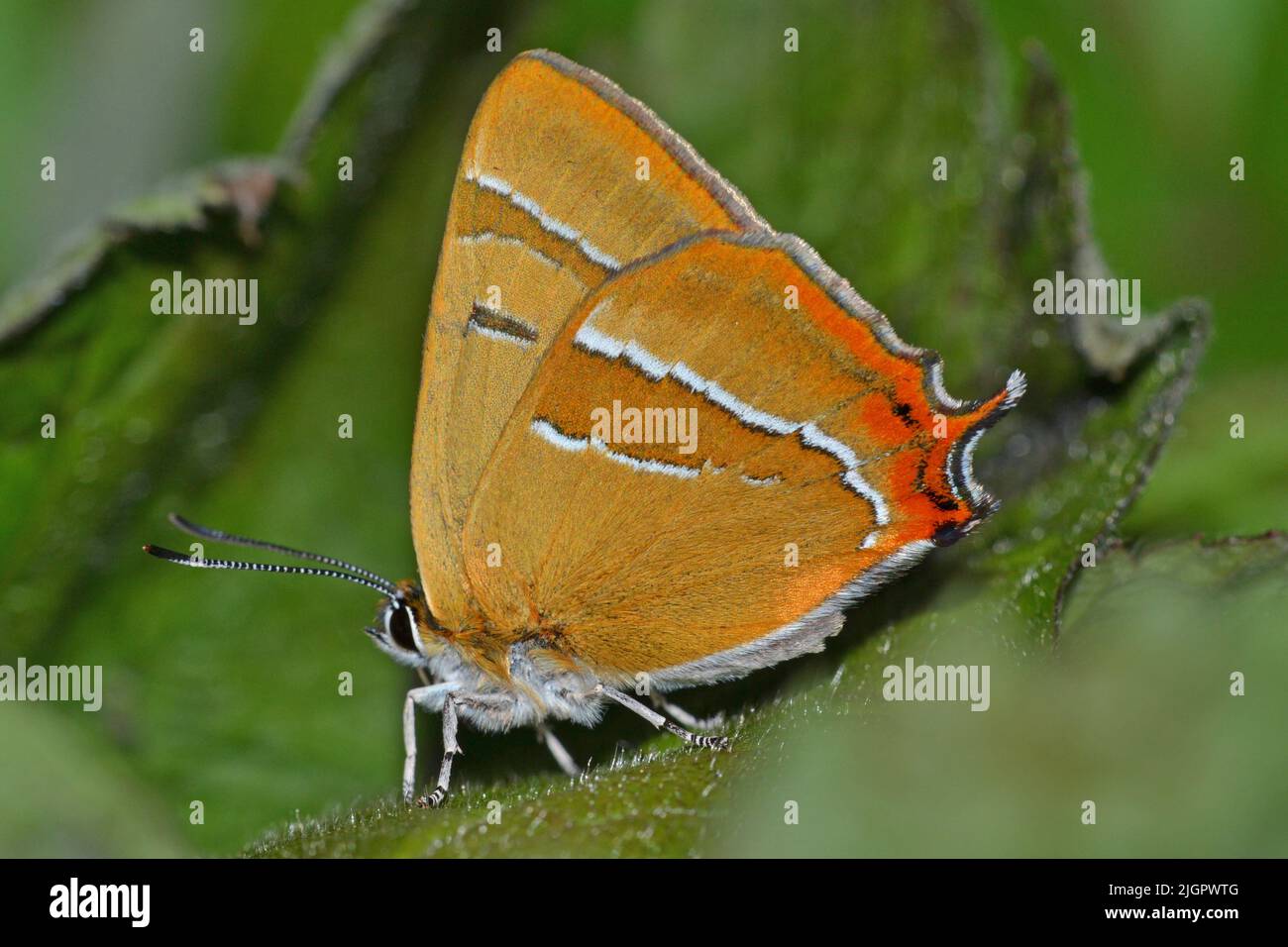 Ryton warwickshire hi-res stock photography and images - Alamy