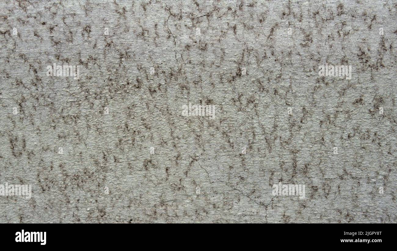 Old gray texture of concrete dirty wall with cracks of house ...