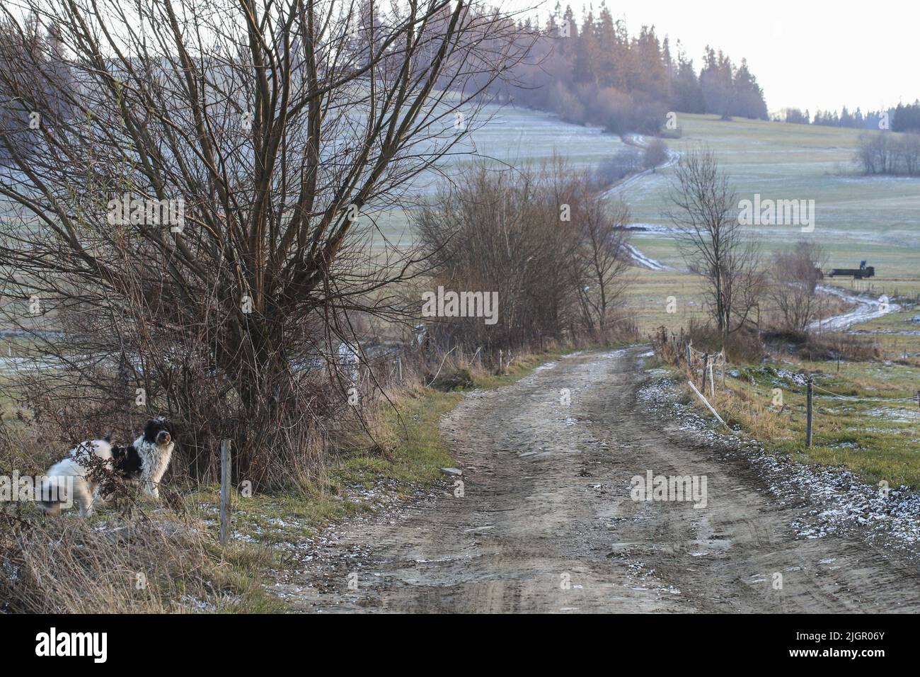 Country road through farmland. The landscape of the Polish countryside ...