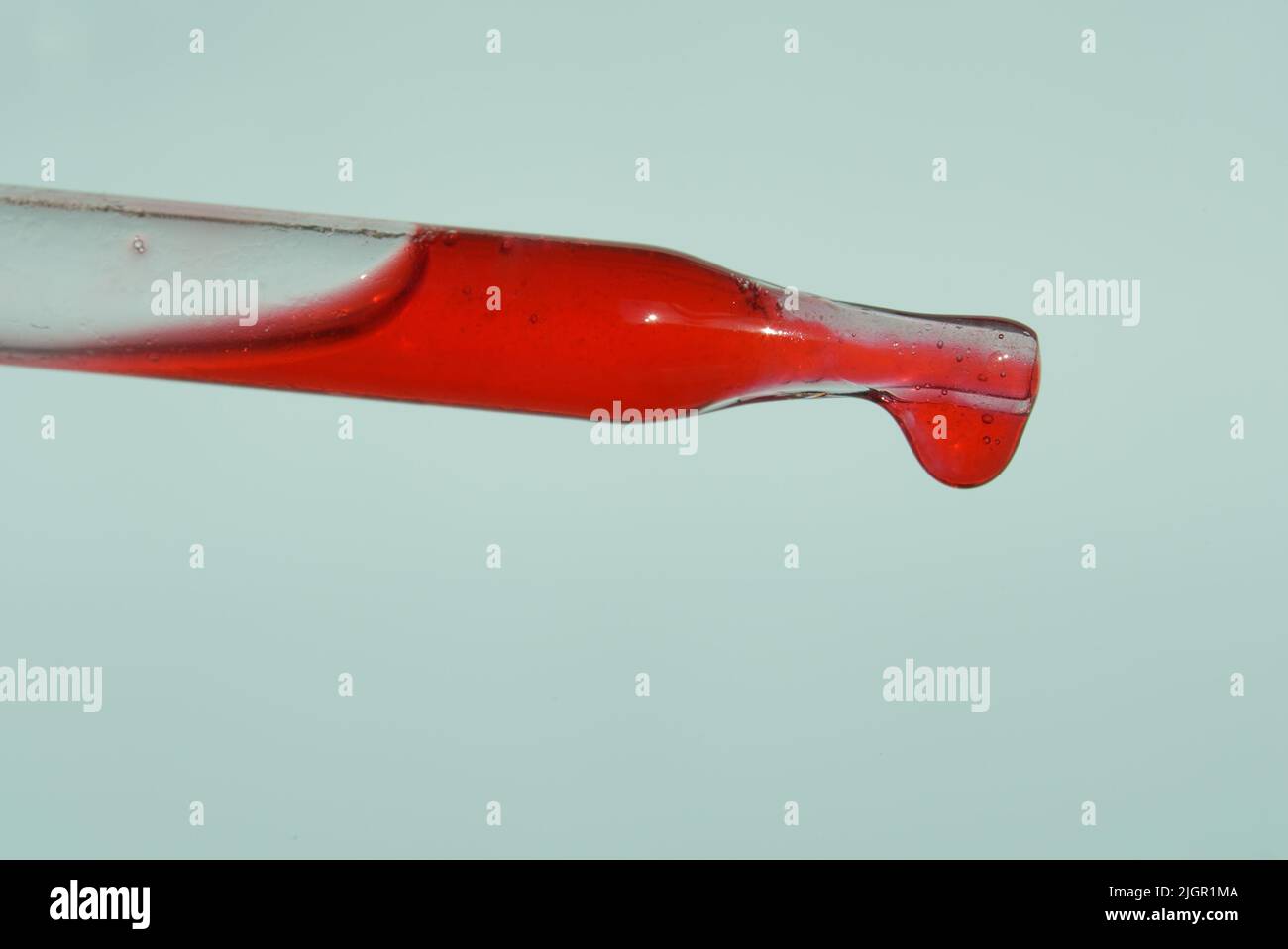 A drop of blood drips from the pipette. Blood for injection ...