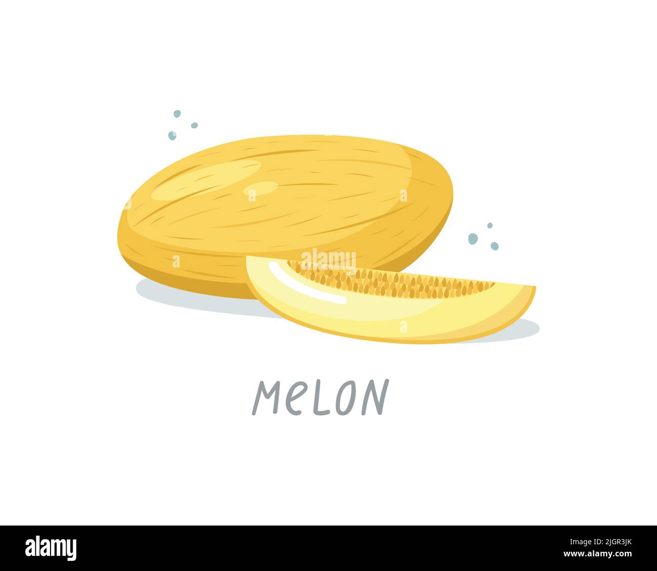 Melons vector vectors hi-res stock photography and images - Alamy