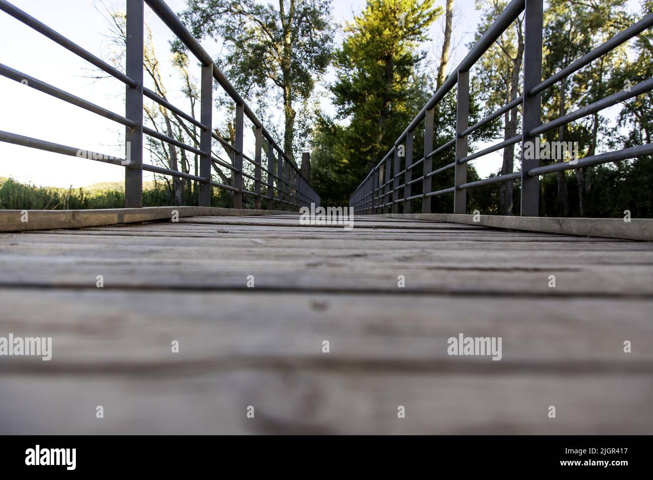 Detail of access walkway for pedestrians in nature Stock Photo - Alamy