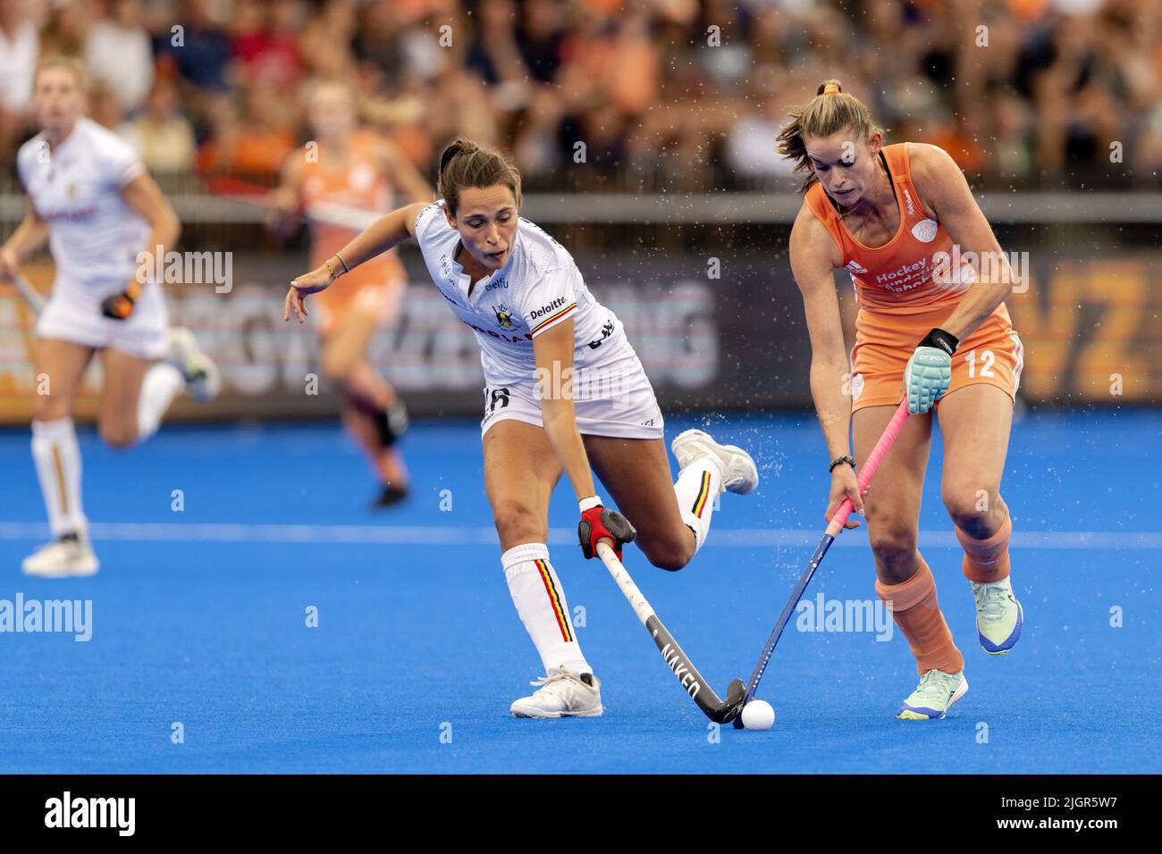Wagener hockey stadium hi-res stock photography and images - Alamy