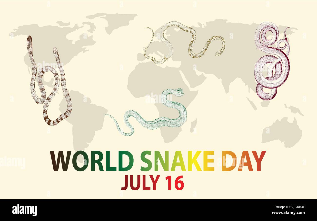 World Snake Day on July 16th urges increased awareness of the wide ...