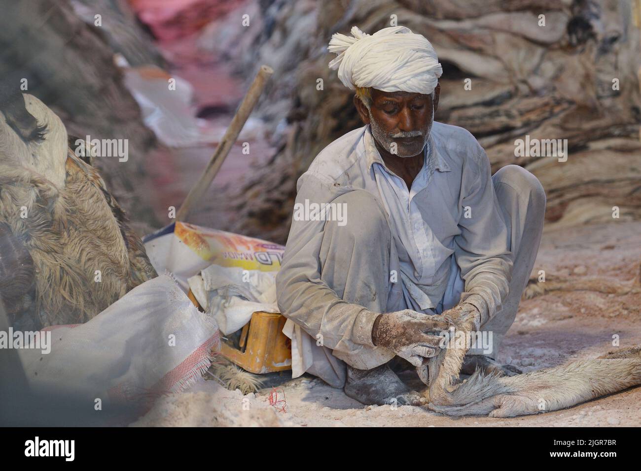 Sacrificial animal skins hi-res stock photography and images - Alamy
