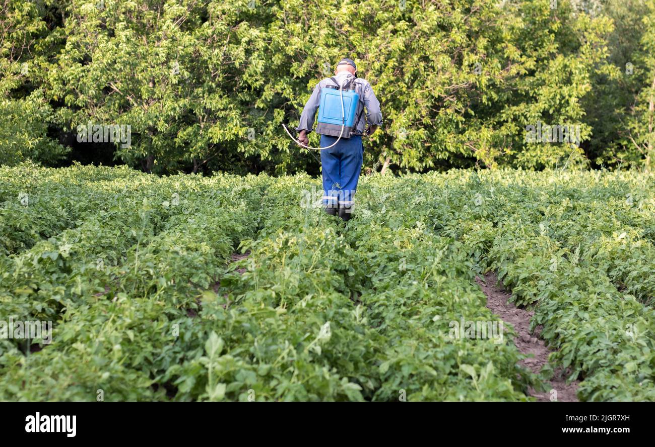 A farmer applying insecticides to his potato crop. Legs of a man in ...