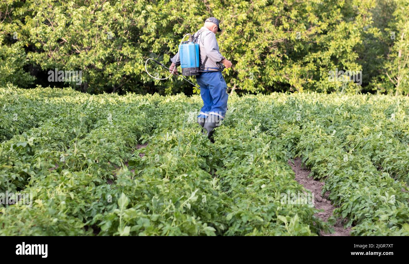 A farmer applying insecticides to his potato crop. Legs of a man in ...