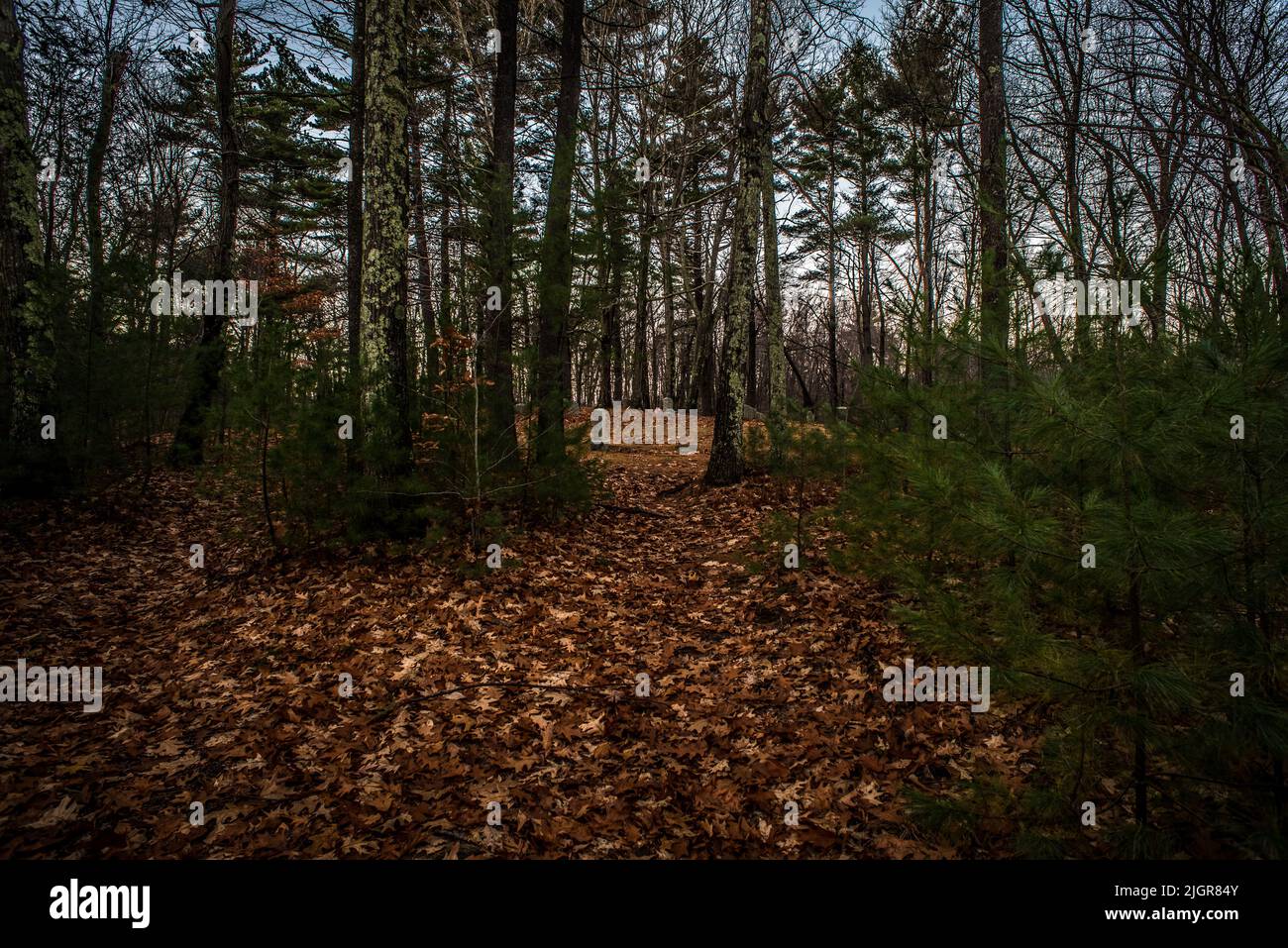 Spider Gates - 8th Gate to Hell Stock Photo - Alamy