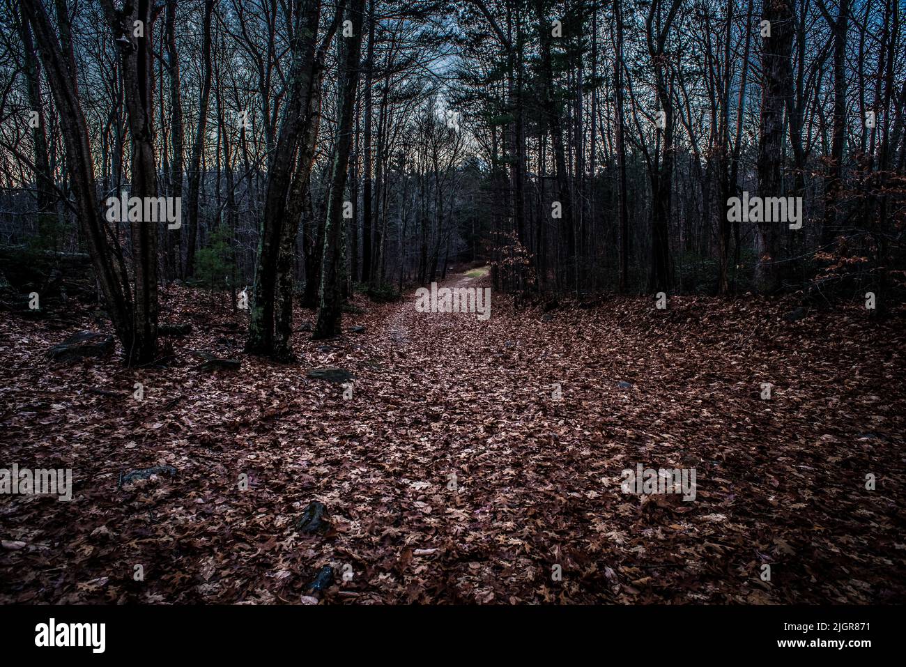Spider Gates - 8th Gate to Hell Stock Photo - Alamy