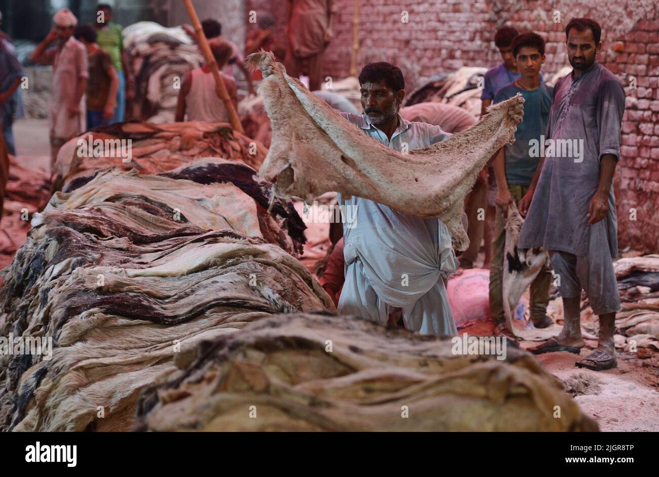 Sacrificial animal skins hi-res stock photography and images - Alamy