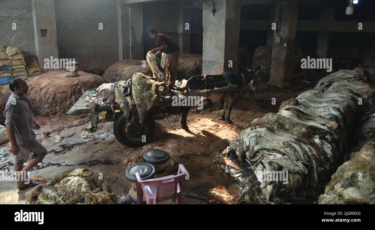 Lahore, Punjab, Pakistan. 12th July, 2022. Pakistani workers collect ...