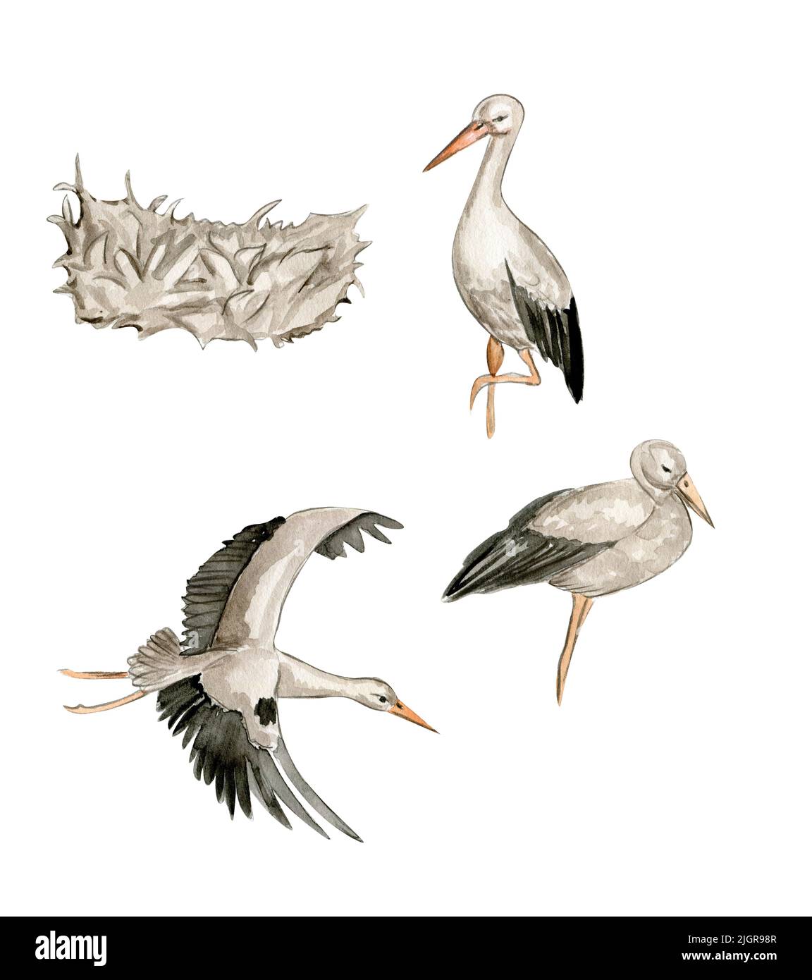 flying storks and nest Stock Photo - Alamy