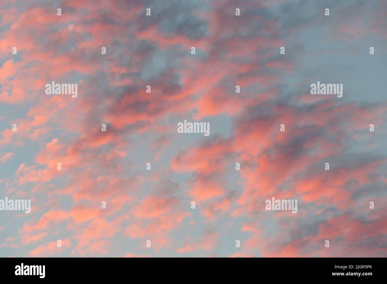 Midnight red hi-res stock photography and images - Alamy