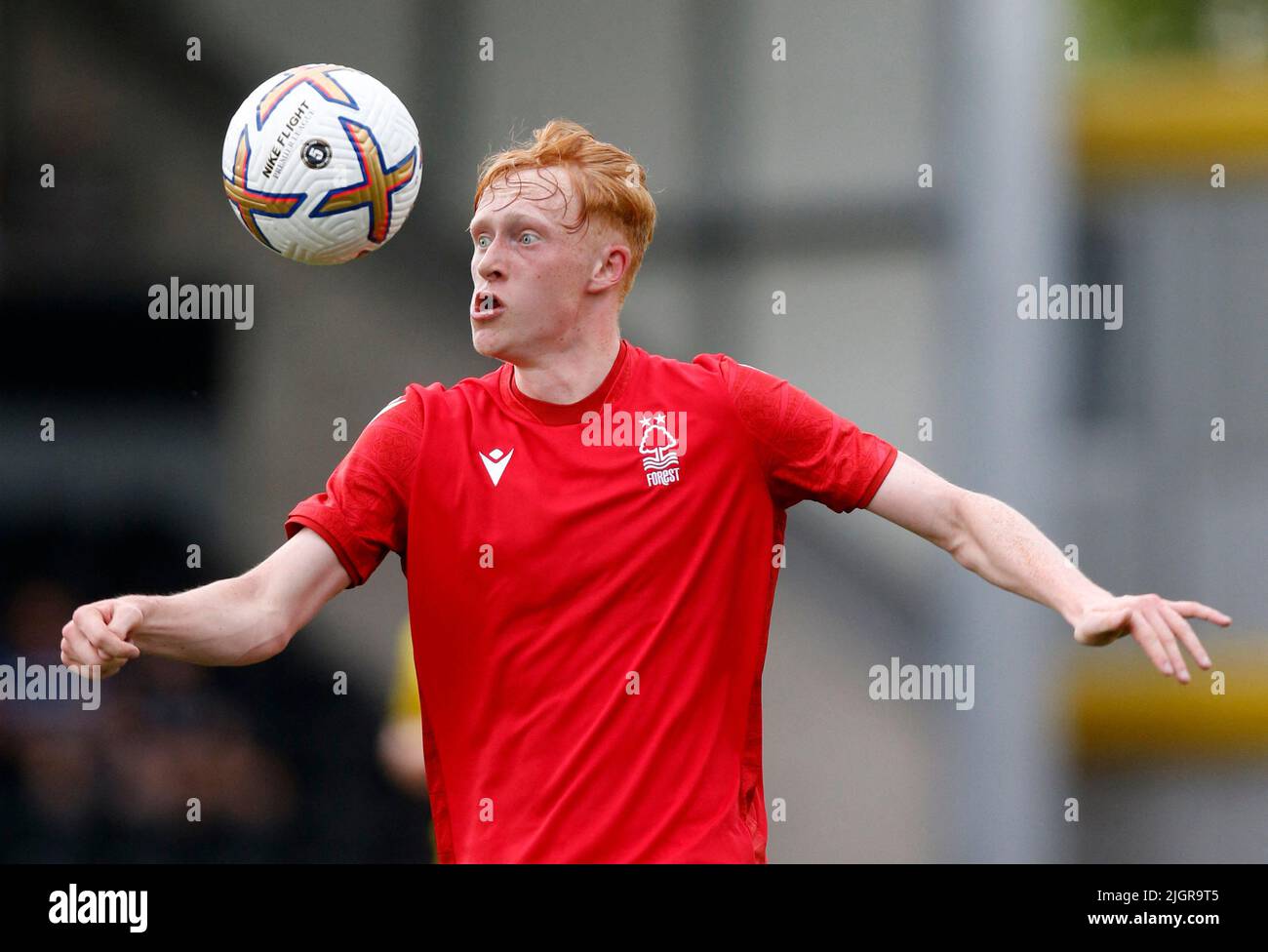 Oliver hammond forest hi-res stock photography and images - Alamy