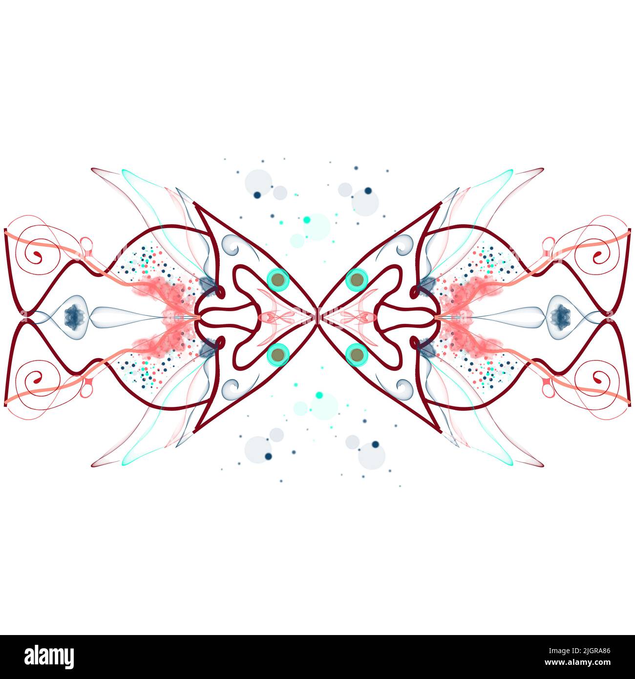 Colorful or burgundy kissing fish with frilly fancy and transparent fin ...