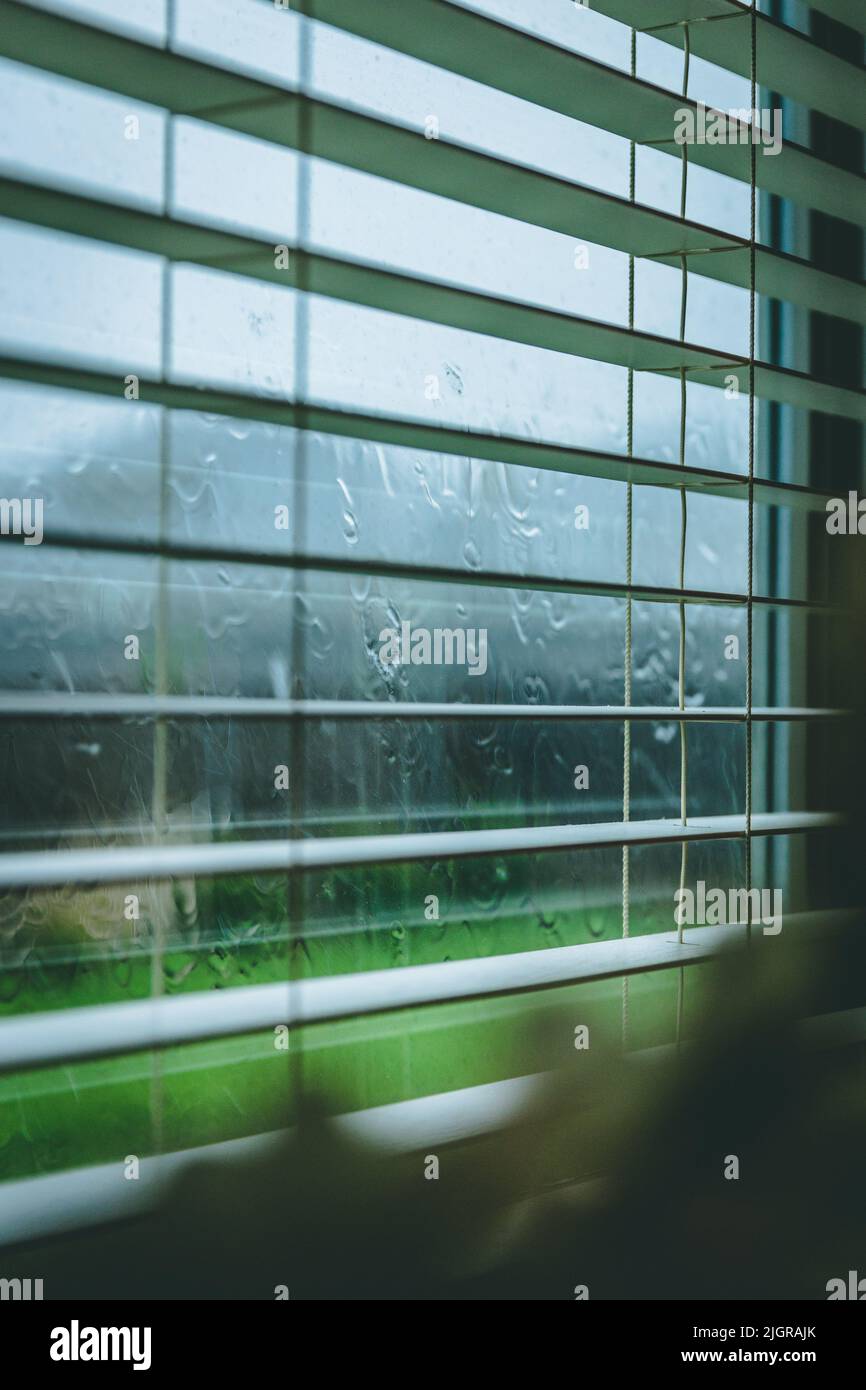 A vertical shot from a wet window of the Fort Worth Gardens Stock Photo ...