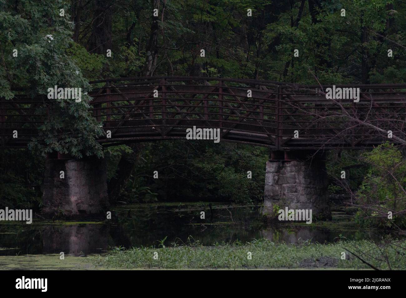 A bridge in the forest Stock Photo - Alamy