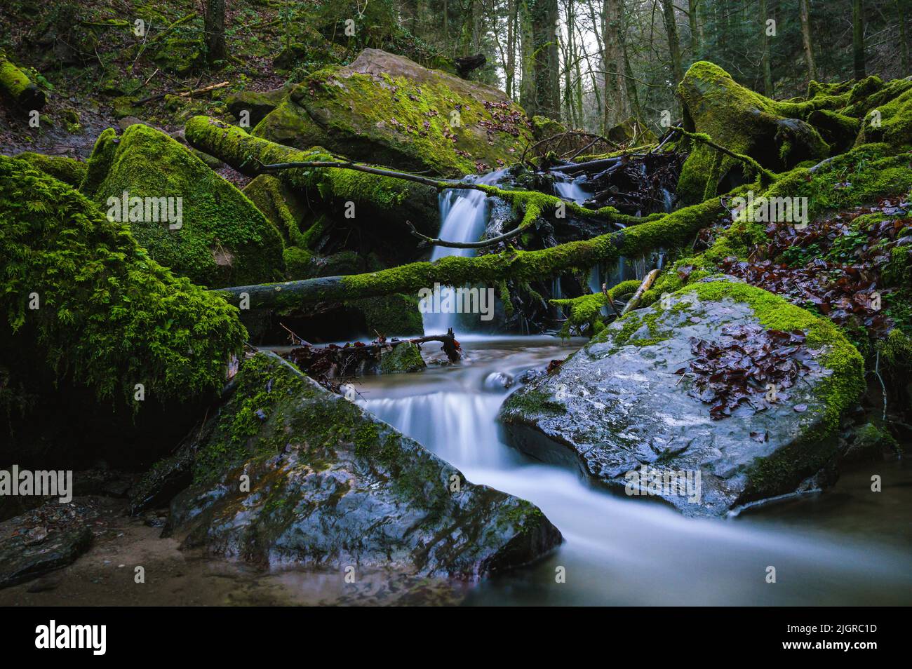 A long exposure of a river flowing through moss covered rocks Stock ...
