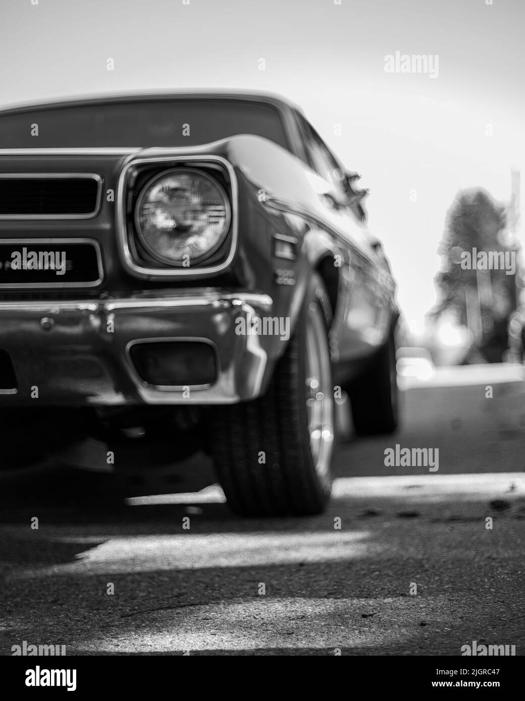 Retro style nature Black and White Stock Photos & Images - Alamy