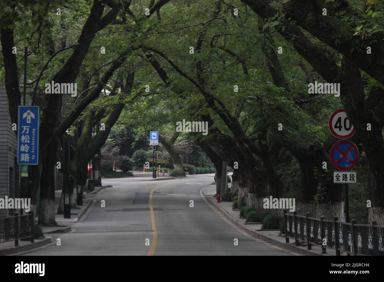 An empty road with street signs passing through trees Stock Photo - Alamy
