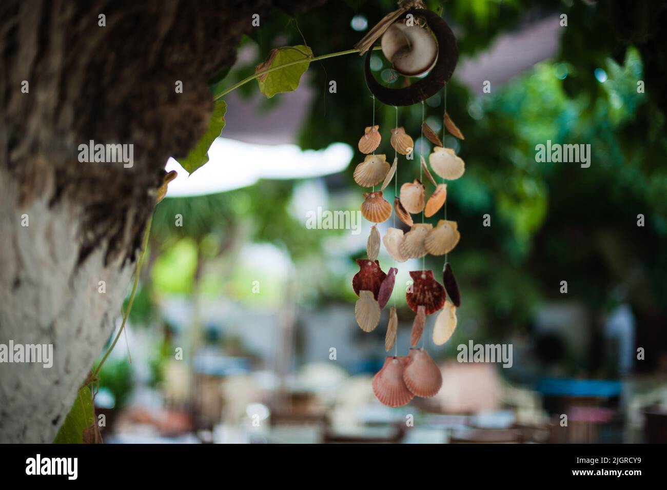 Hanging shell decoration hi-res stock photography and images - Alamy