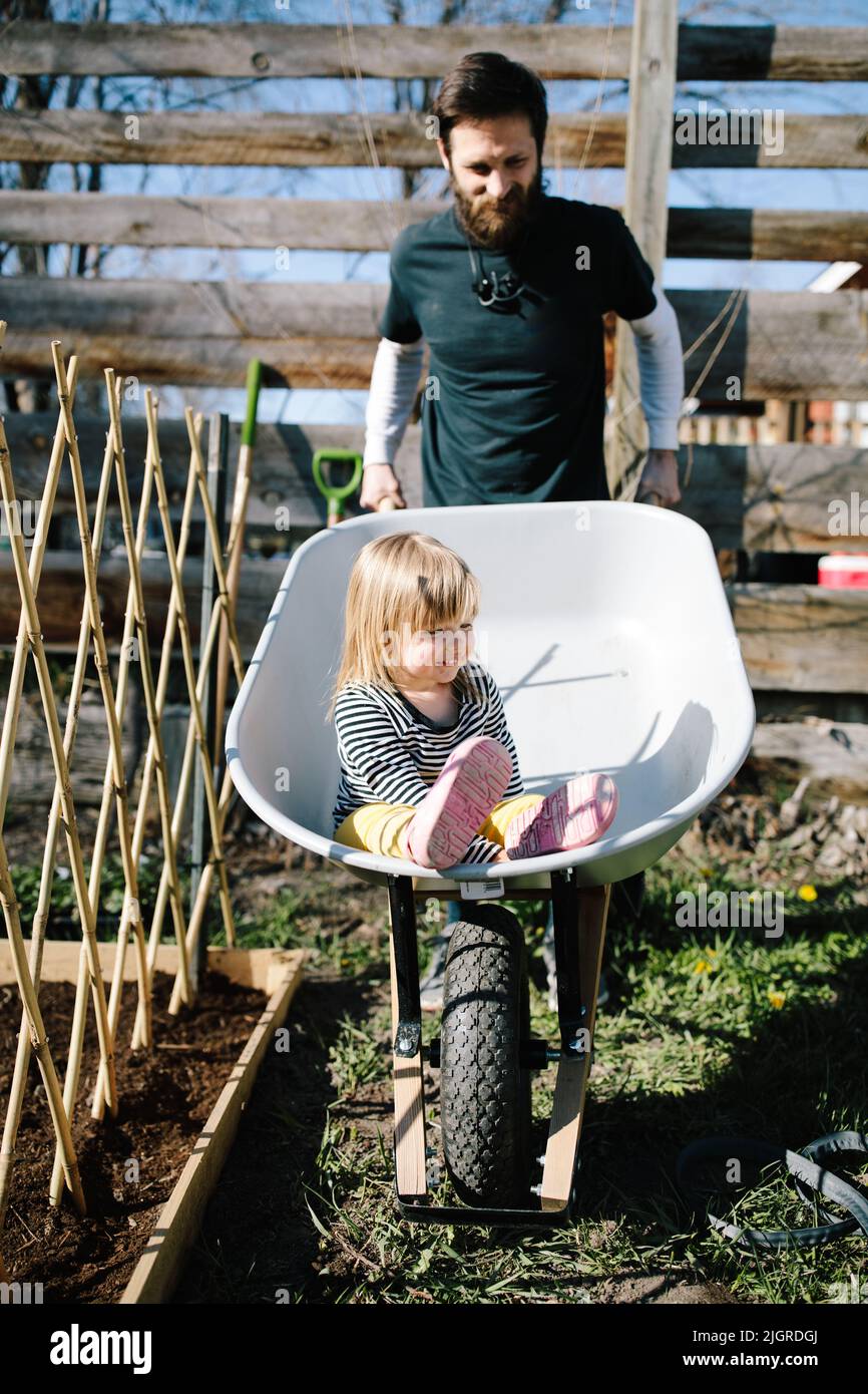 A vertical shot of a father riding his daughter in a wheelbarrow around ...