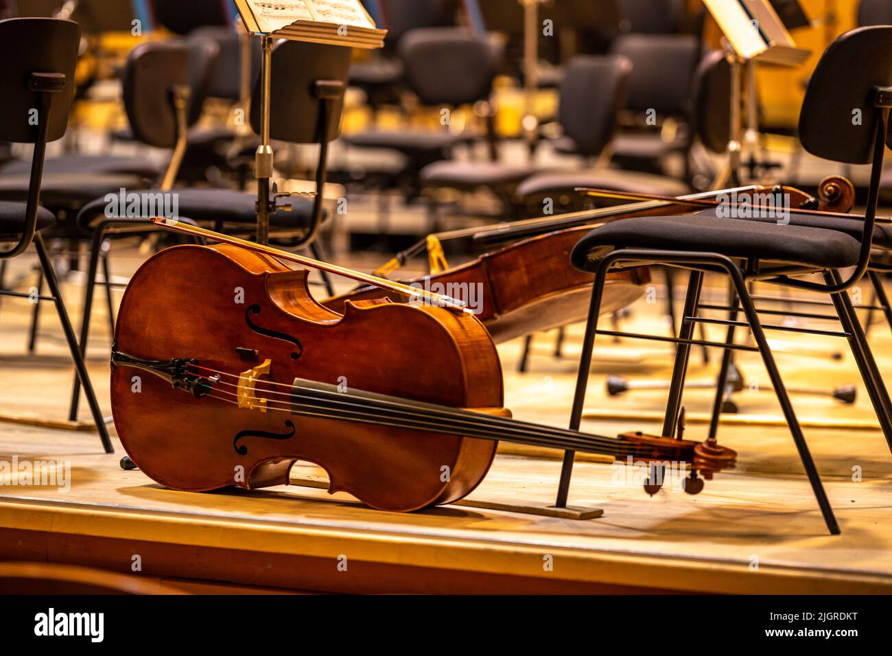 cello on the stage of the Philharmonic during a concert Stock Photo - Alamy