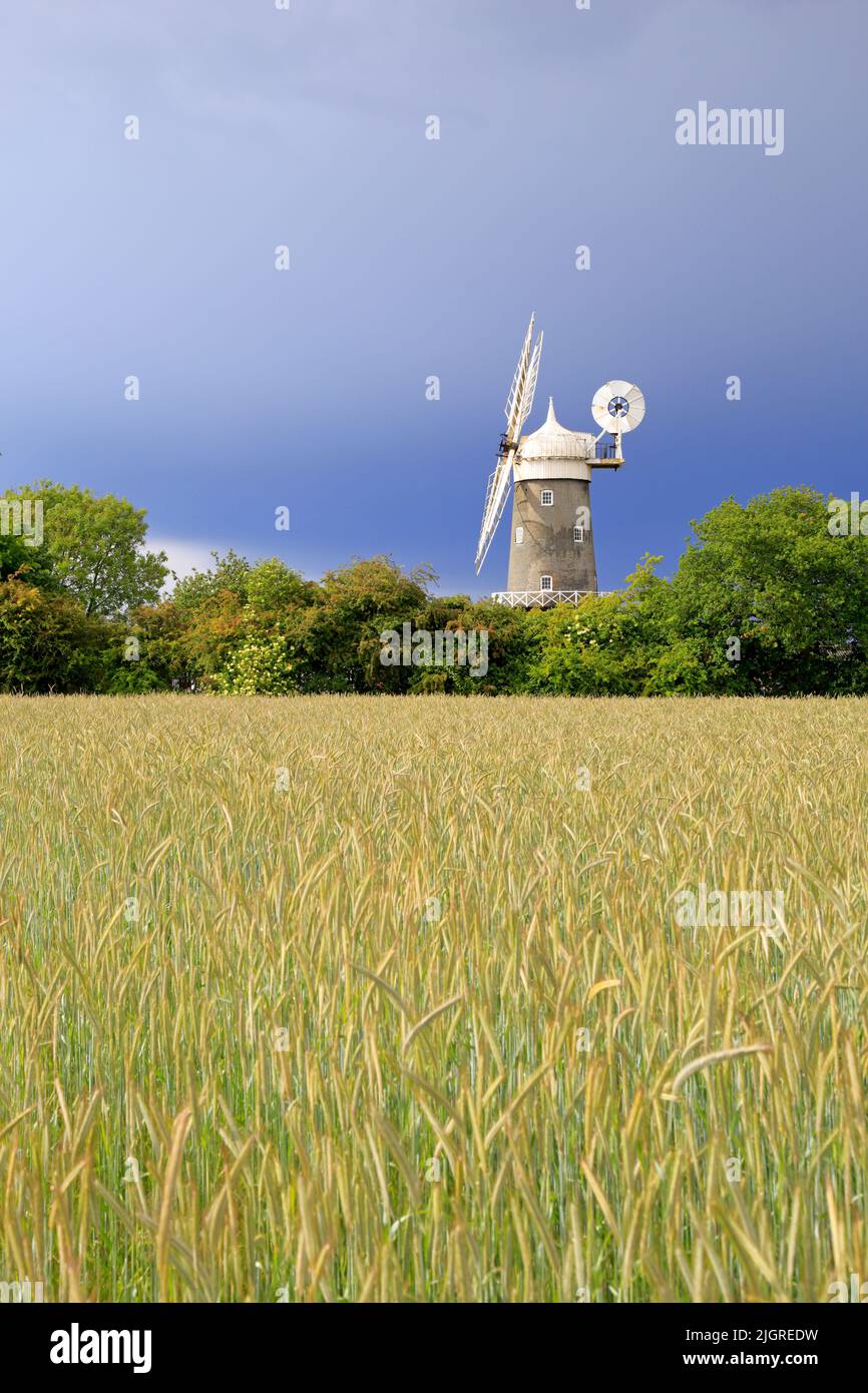 Bircham windmill norfolk england hi-res stock photography and images ...